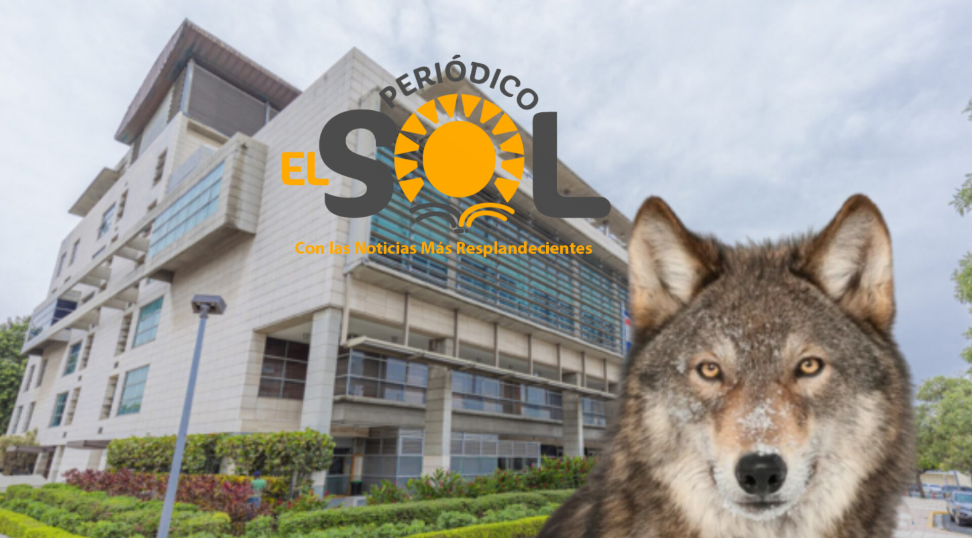 Ministerio Público pone en marcha la Operación Lobo – Periodico El Sol